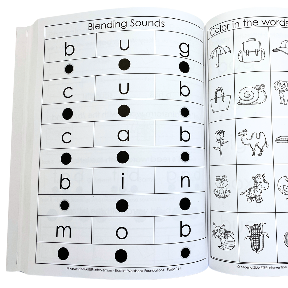 Manuals and Workbooks – Ascend SMARTER Intervention